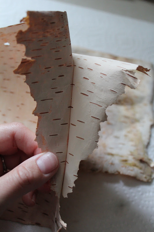 Sylvie Liv: How To Turn Birch Bark Into Paper