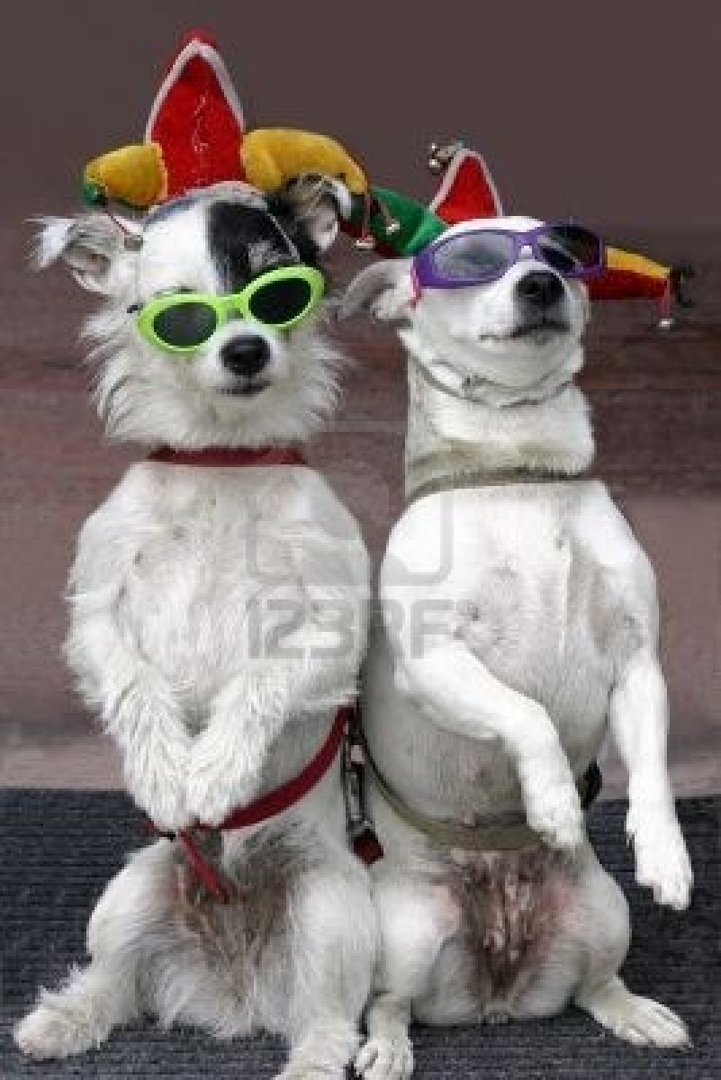 Discover Mass of Funny Facebook Status And Funny Jokes,Quotes: Super ...