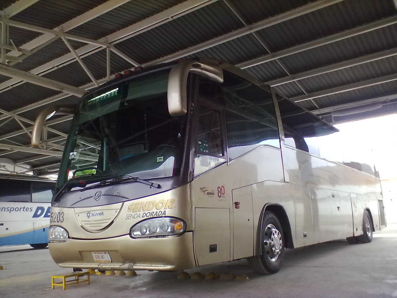 BUSÓPOLIS: SENDOR SENDA DORADA