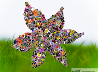 Vendredi MAC - Shape Collage - ZinfosWeb