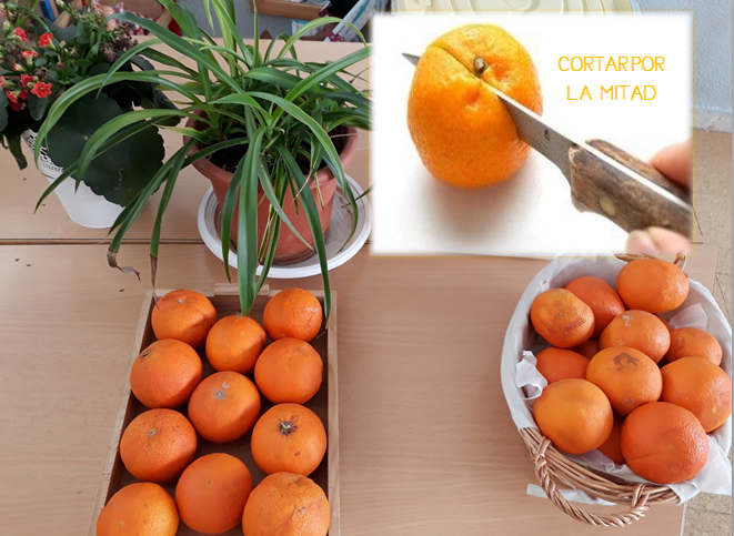 UN PEQUEÑO MUNDO DE COLORES: Taller cooperativo: Zumo de naranja.