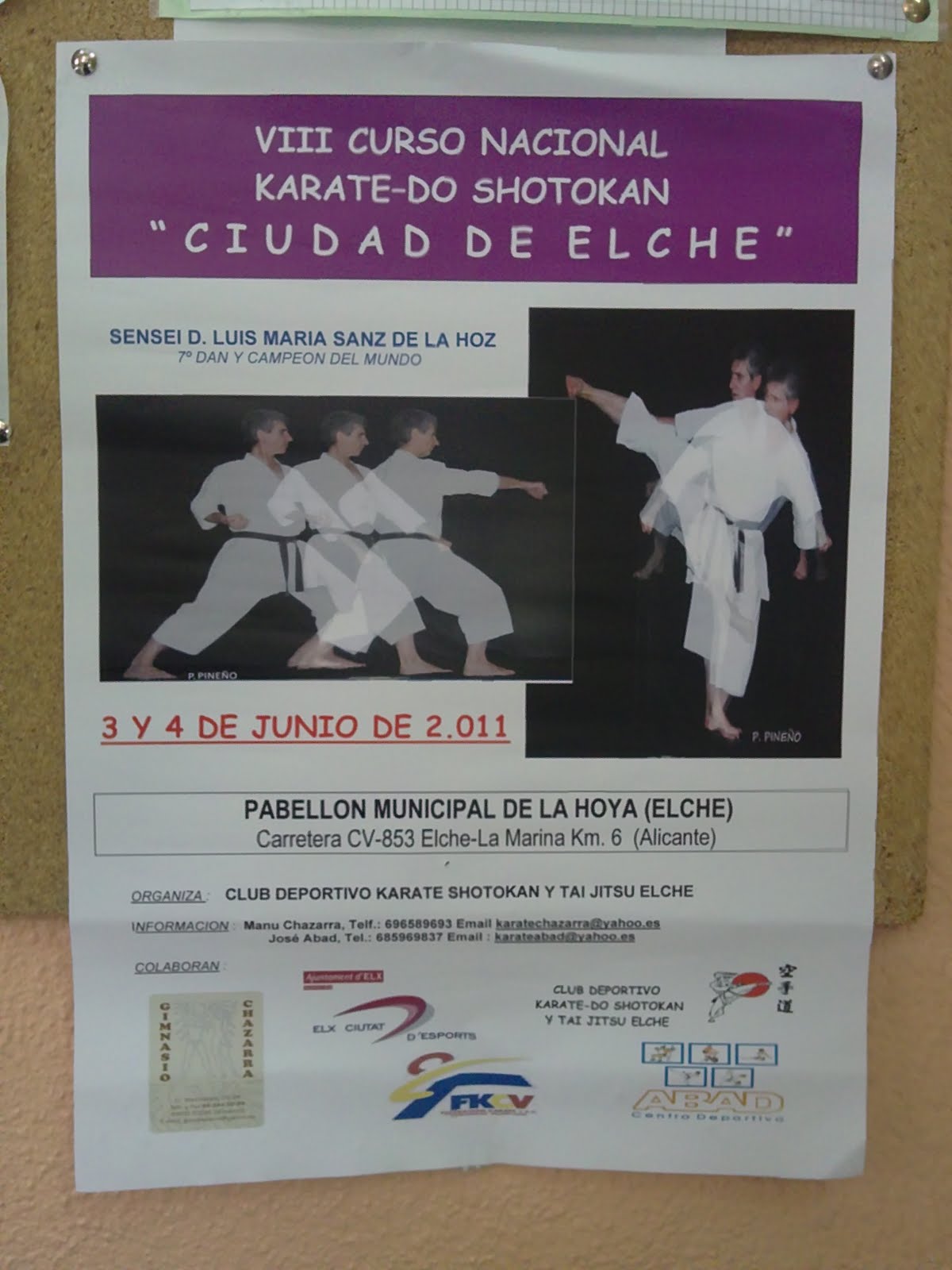 Gym Shotokan Karate-do: Curso de karate