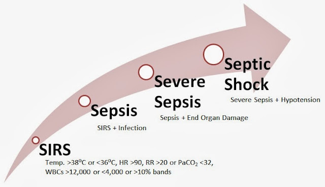 Medilab Speciality Laboratories: Bedside blood test to diagnose sepsis