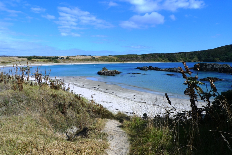 TJA IN SPET NAZAJ V 53 DNEH