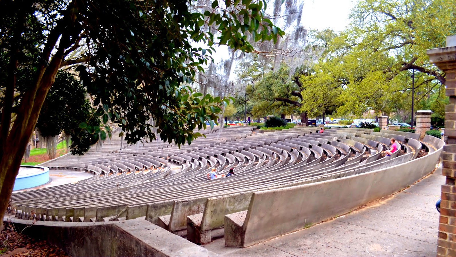 Room With No View: My View of Louisiana State University