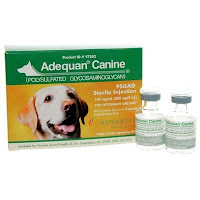 Exclusively Cats Veterinary Hospital Blog: Feline Arthritis Part 1 ...