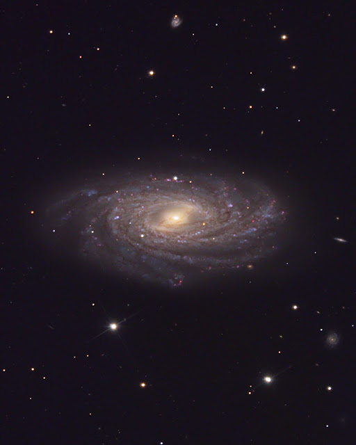 Firmamento Austral: Nuestra Galaxia la "Vía Láctea".