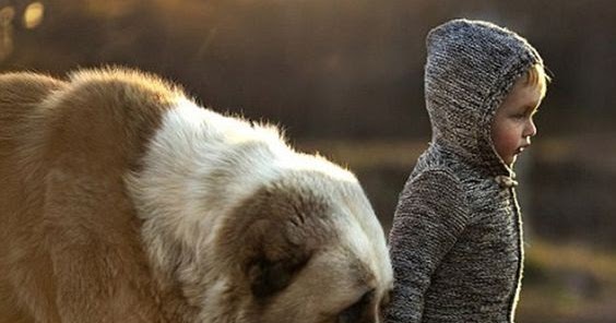 O Blog dos Nomes: Pépio