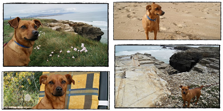 Un paseo,una foto: Lindoso. Portugal