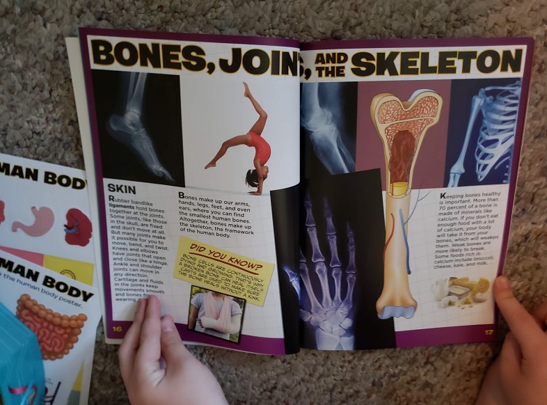 Airplanes and Dragonflies: The Smithsonian Exploration Station: Space ...