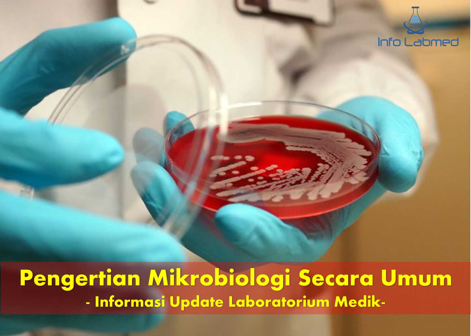 Pengertian Mikrobiologi Secara Umum - Seri Edukasi Teknologi ...