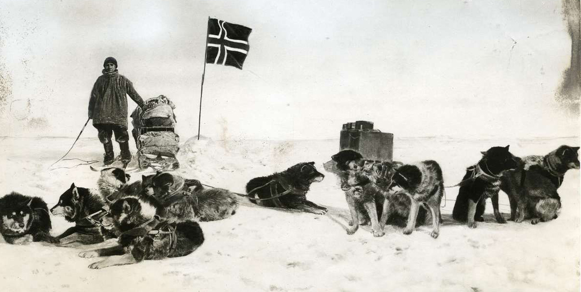 The Joys of Dog Sledding & Dry Mushing | Australian Dog Lover