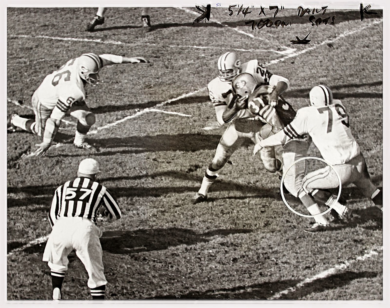 PACKERVILLE, U.S.A.: May 2015