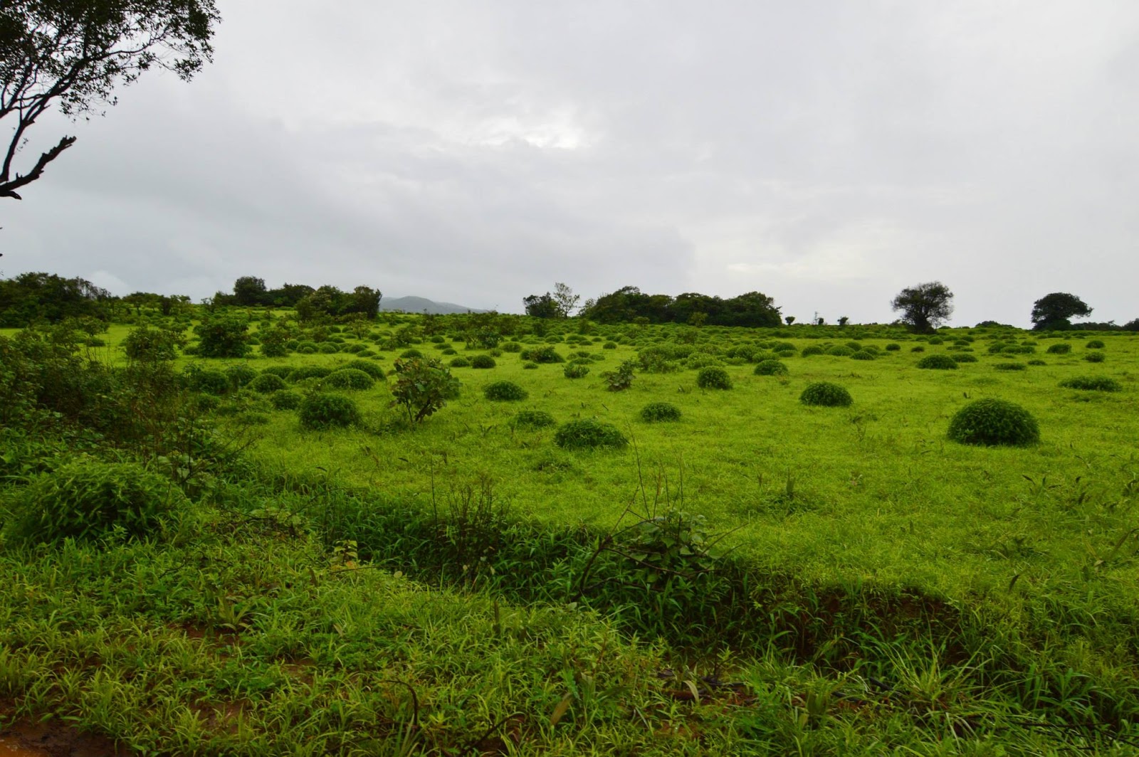 Kavlesad, Mahadevghad, Hiranyakeshi and Rajhunsgad Fort Trip