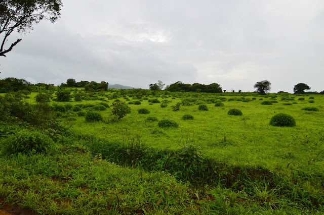 Kavlesad, Mahadevghad, Hiranyakeshi and Rajhunsgad Fort Trip