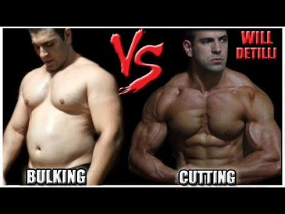 lukitoys: Bulking dan Cutting : Mengenal Apa Itu Bulking Dan Cutting ...