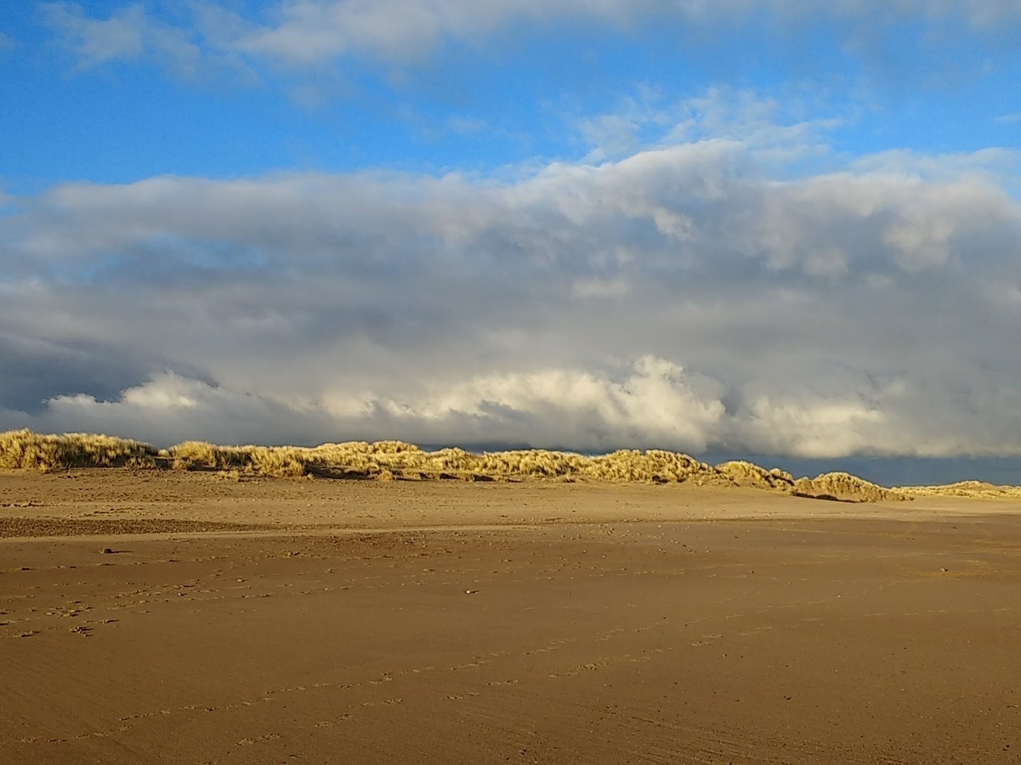 Life's A Beach. The Driftwood Lectures... : SEATON SANDS, HARTLEPOOL ...