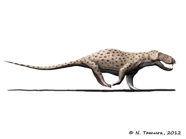 Spinops: Sinophoneus yumenensis