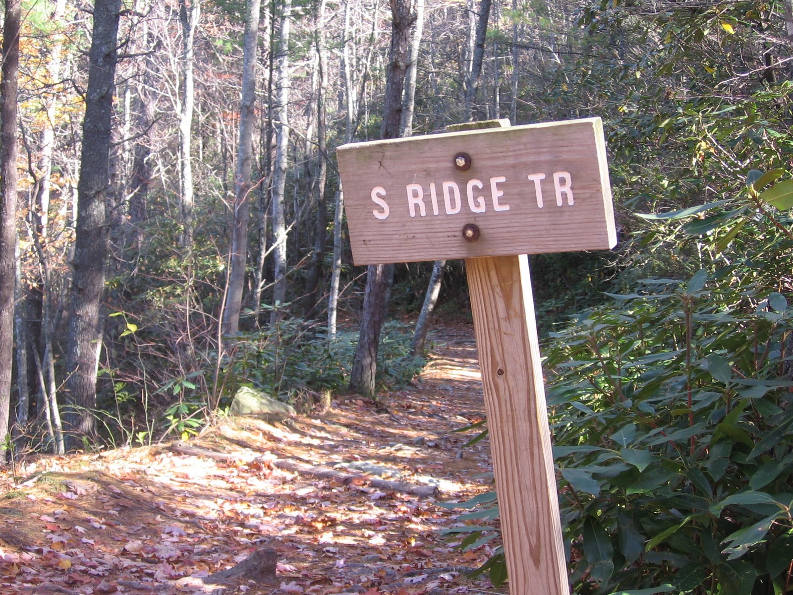 Relaxed Hiking NC: Spence Ridge Trail Linville Gorge 11/5/2011