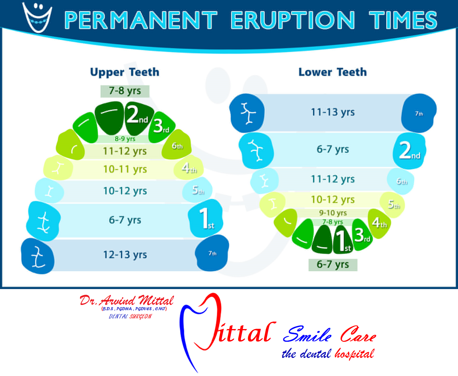 DR.ARVIND MITTAL: permanent teeths eruption schedule