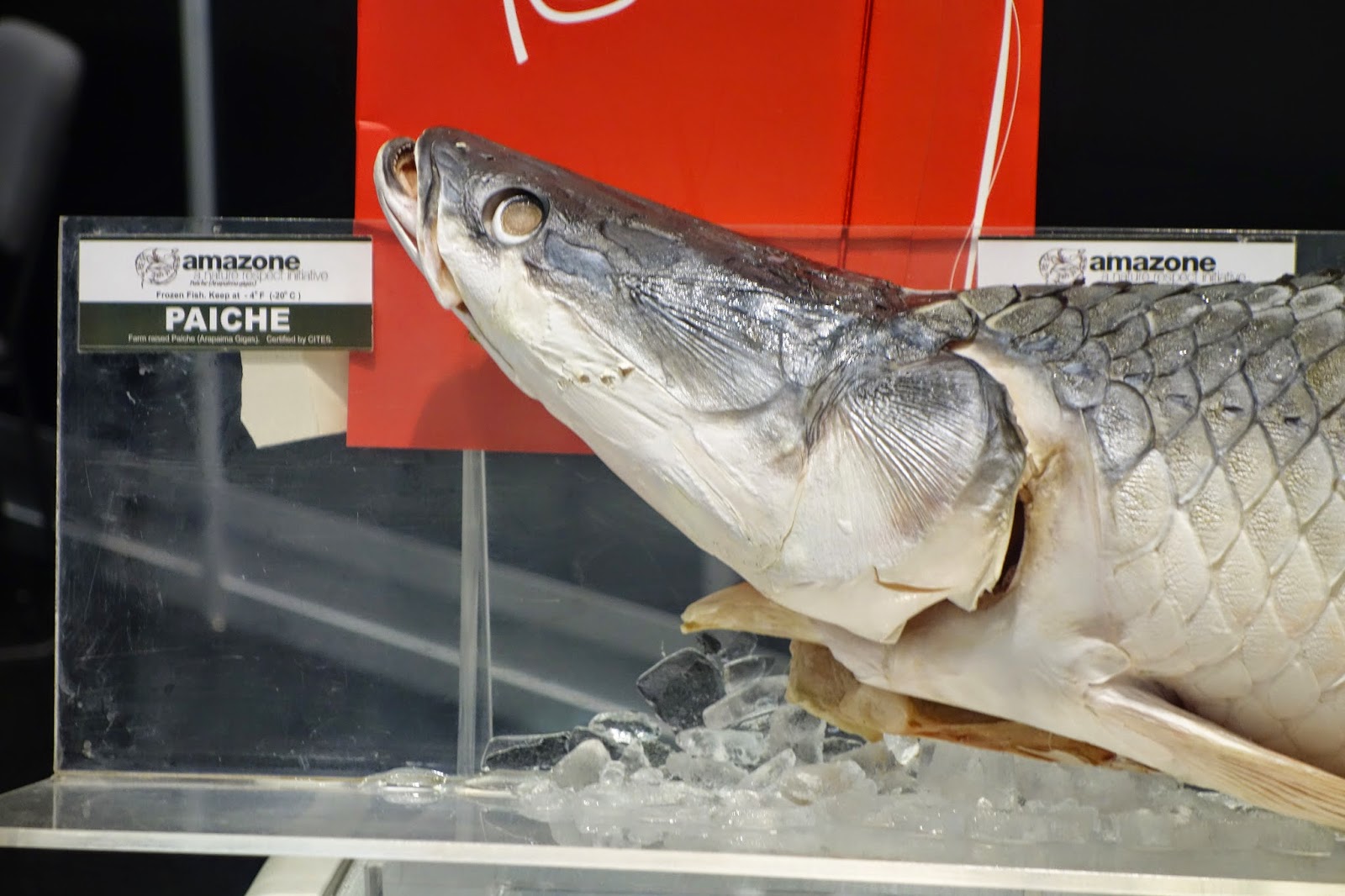 The Passionate Foodie: SENA15: Paiche, the "Cod Of The Amazon"