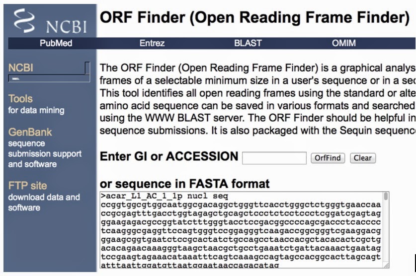 Bioinformatics : Phylogenetics and Repeat Analysis