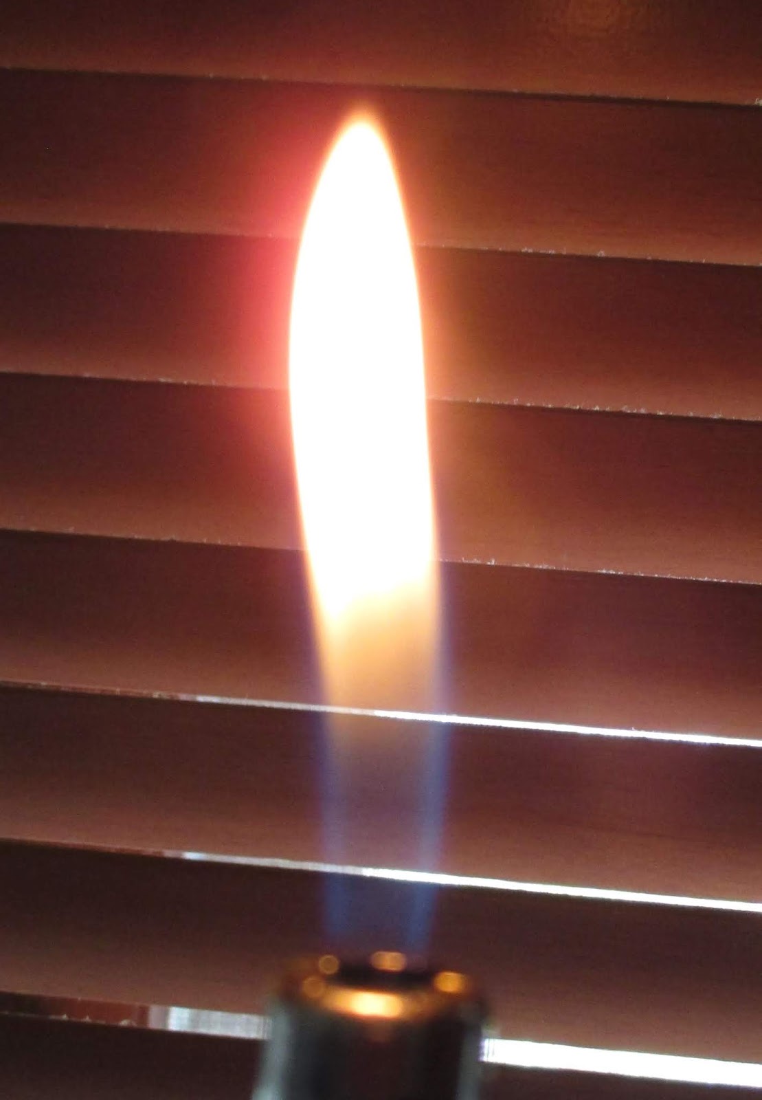 Shiloh Musings: Shabbat Zachor, Remembering 23 Years Since "My" Terror ...