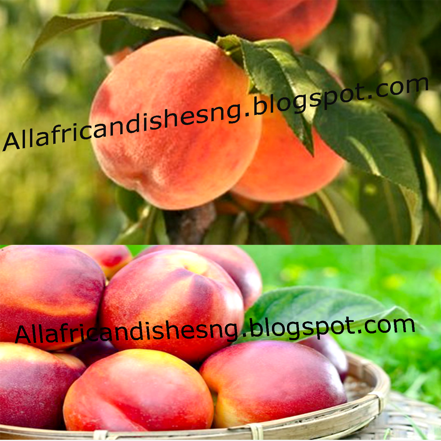 ALL AFRICAN DISHES: FRUIT CARE (PEACH)
