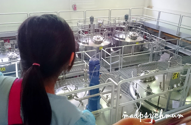 MadPsychMum | Singapore Parenting + Travel Blog: Our Tour of the ...