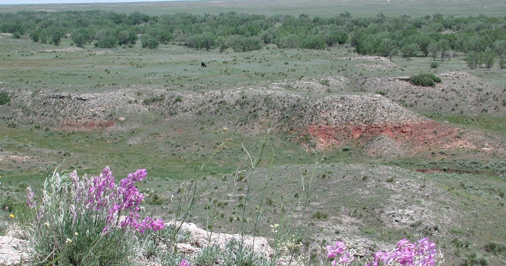 Kansas Transportation: Motoring Monday: Cimarron National Grassland