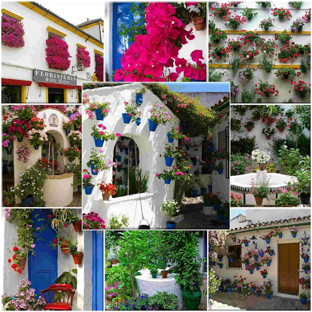 Magical Yards of Cordoba - Diy Fun World