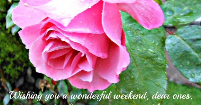 Rosie's Cottage: Happy Weekend & Free Pretty Rose Printable