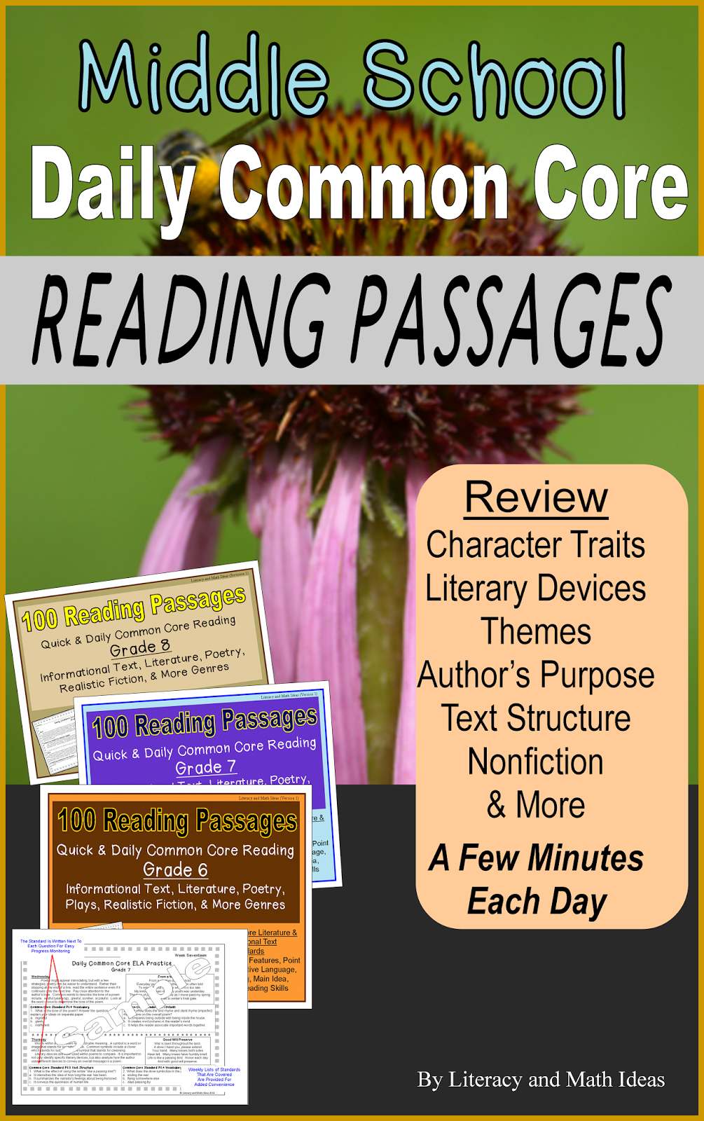 Literacy Math Ideas Middle School Daily Common Core Reading Passages Literacy Math Ideas Middle School Daily Common Core Reading Passages