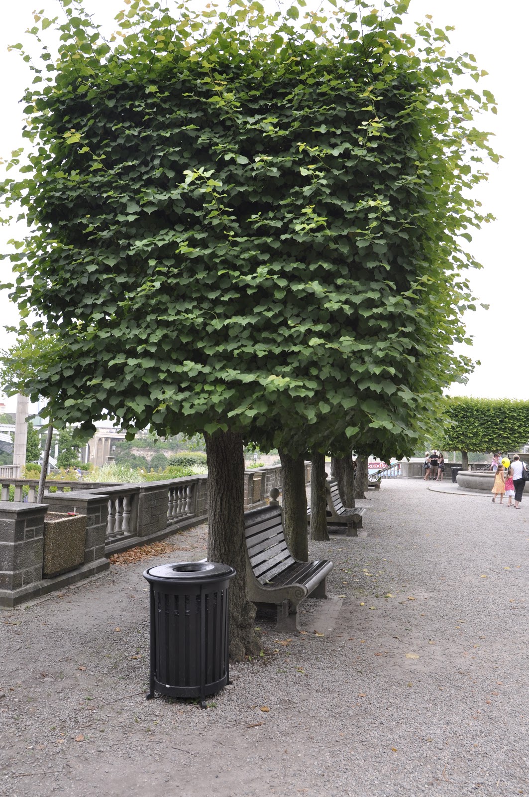 Weekend in Niagara Falls and Toronto | Thinking Outside the Boxwood