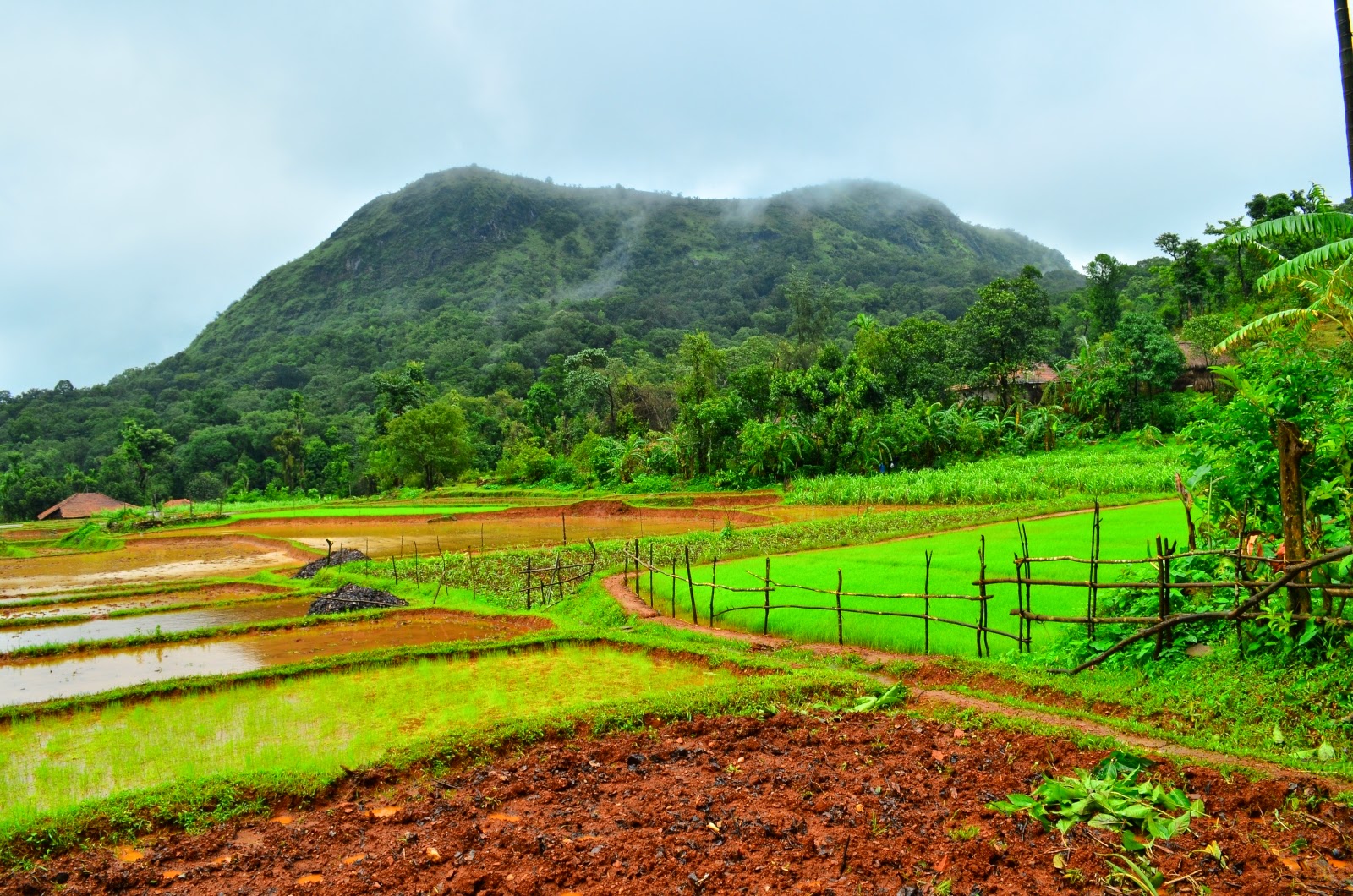 Sharath Hassan A Travelling Photographer: Hindlumane Falls near ...