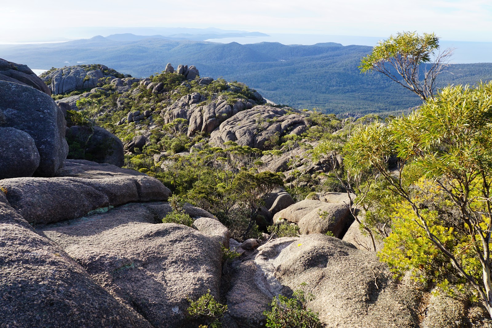 Mt Amos Track (Freycinet National Park) ~ The Long Way's Better