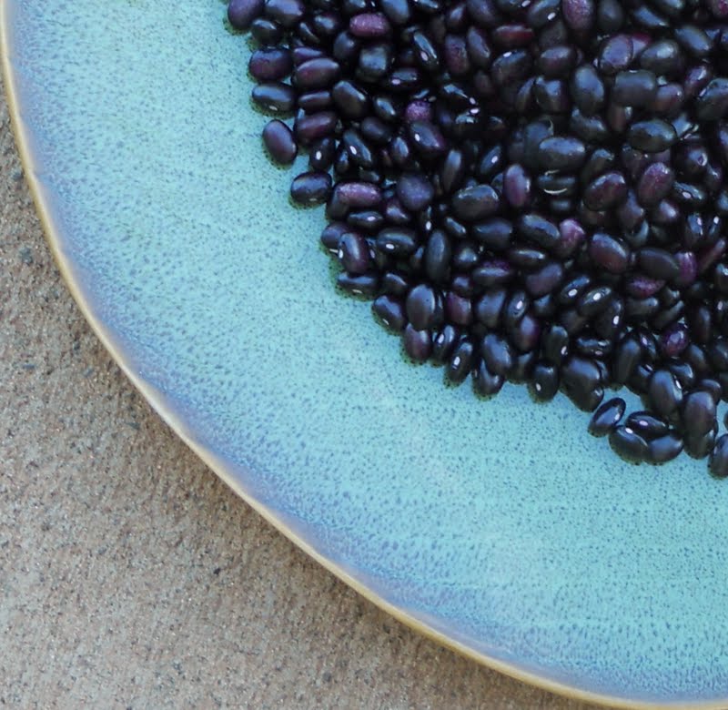 A Kitchen Garden in Kihei Maui: Growing High & Low Desert Heirloom Beans