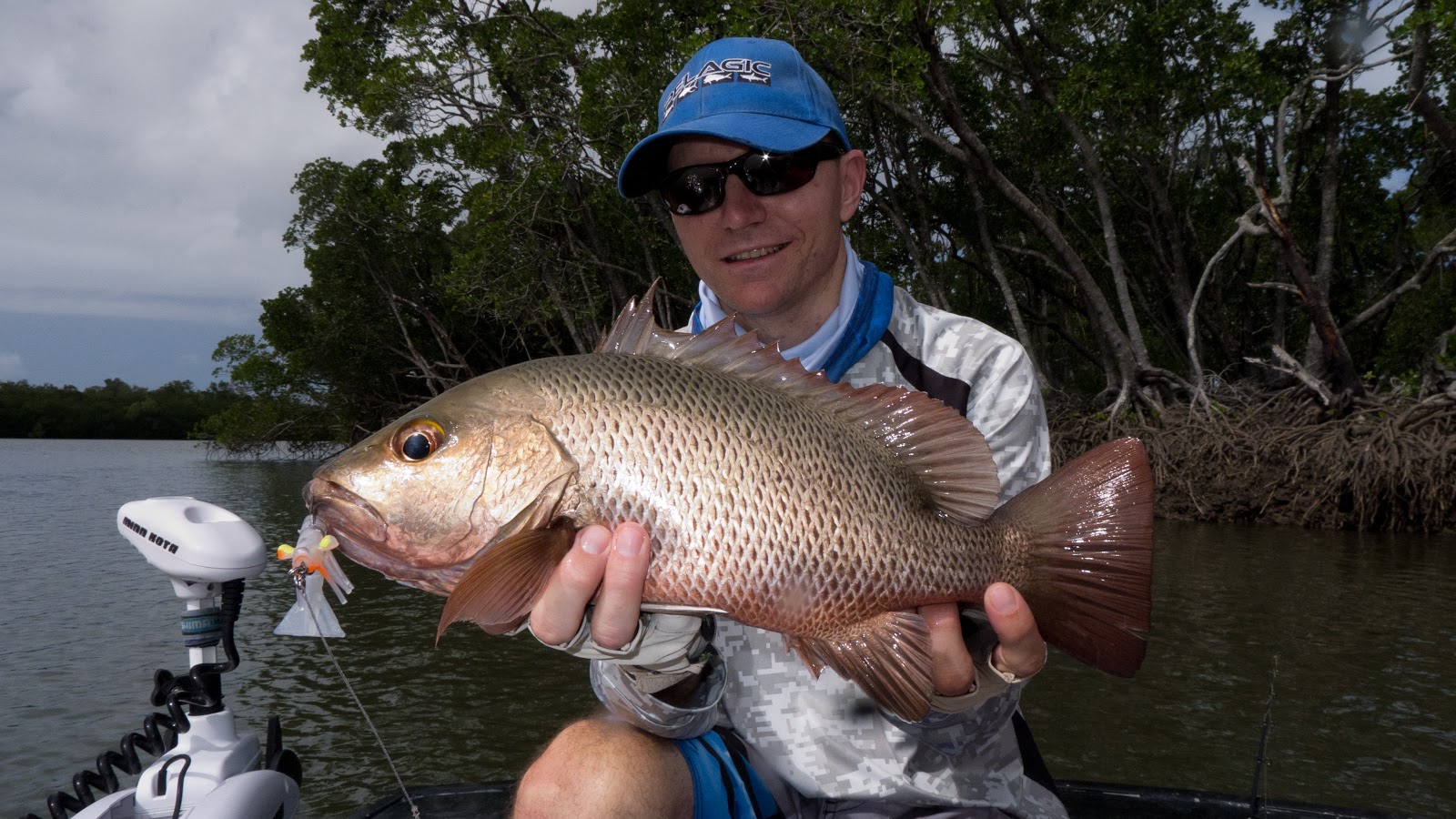 Tackle World Tully: June 2013