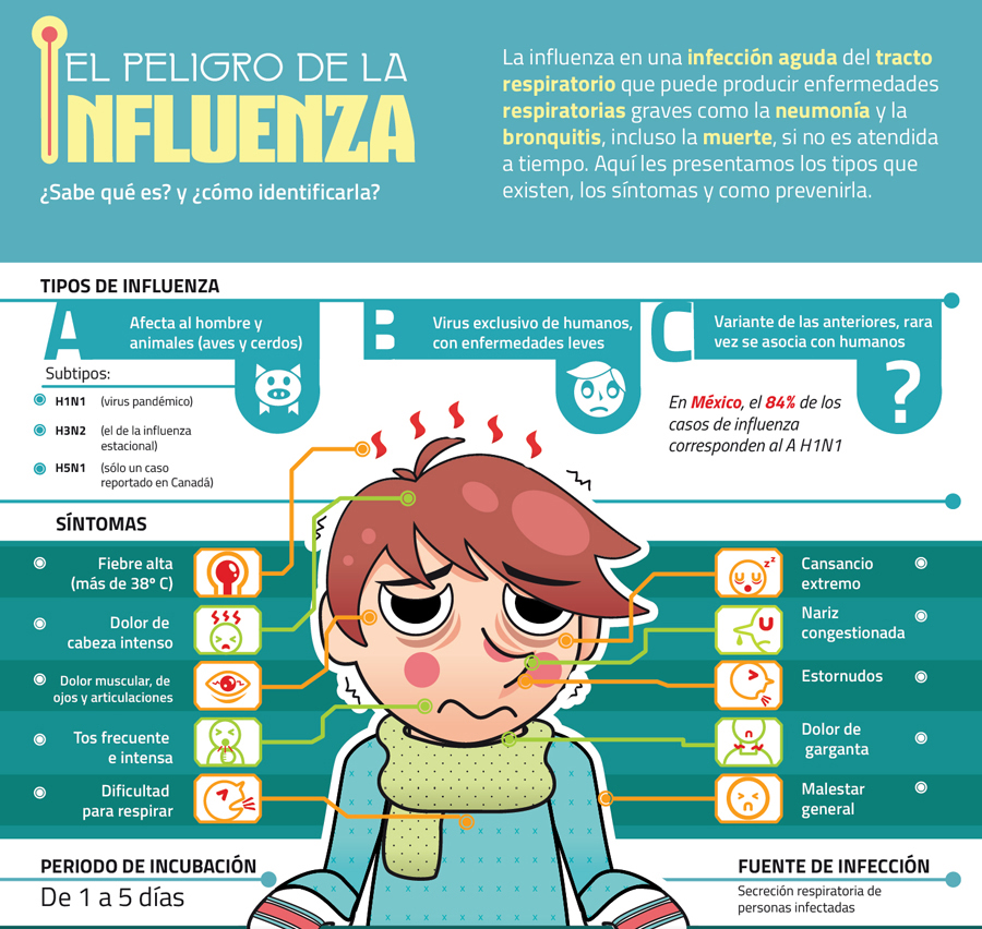 ESCUELA ANGEL SANDIN MARTINEZ: Influenza