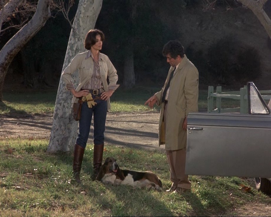 L'Alligatographe: Columbo - Jeu de mots