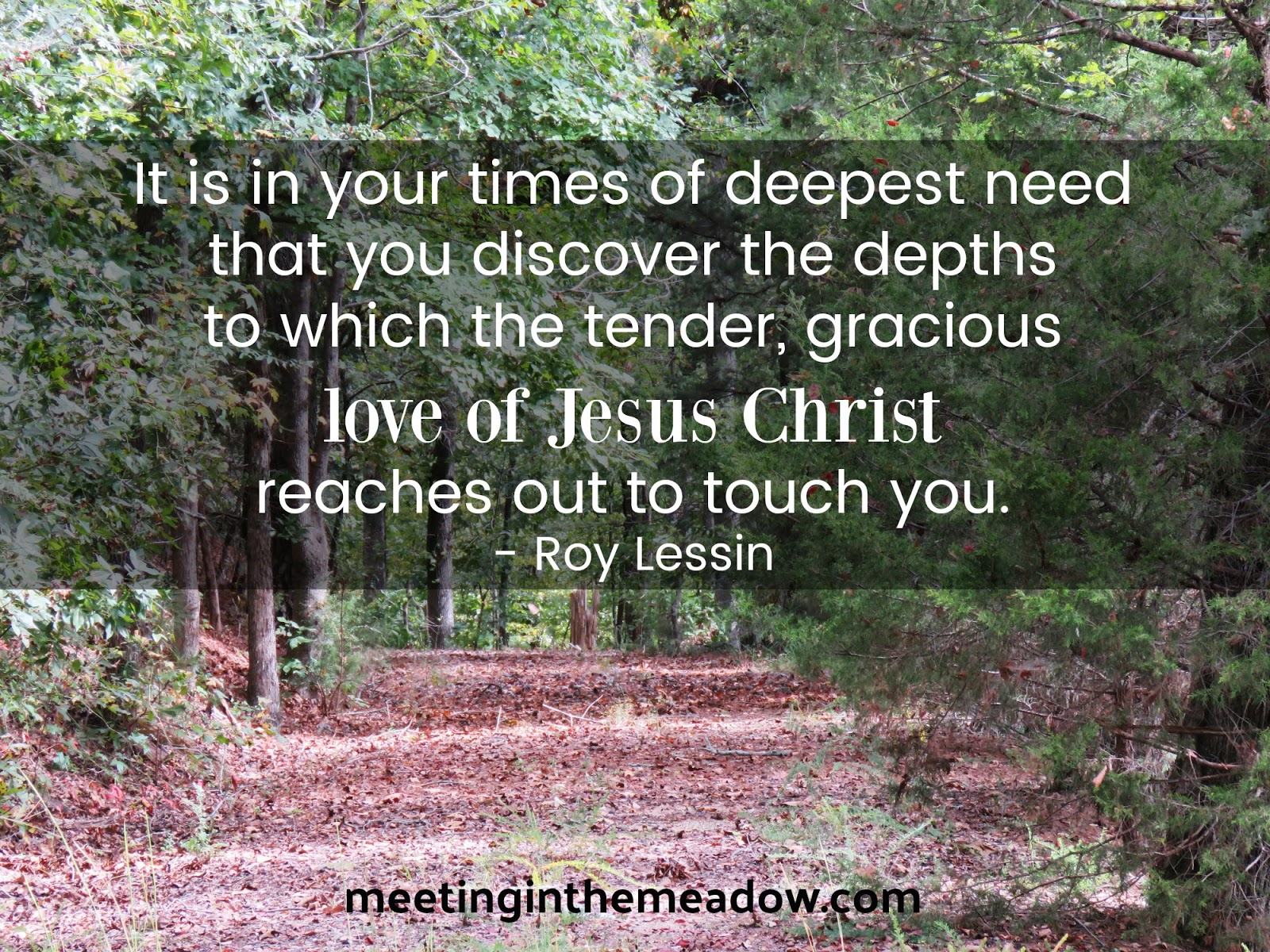 Meeting in the Meadow, by Roy Lessin: His Beautiful Ways