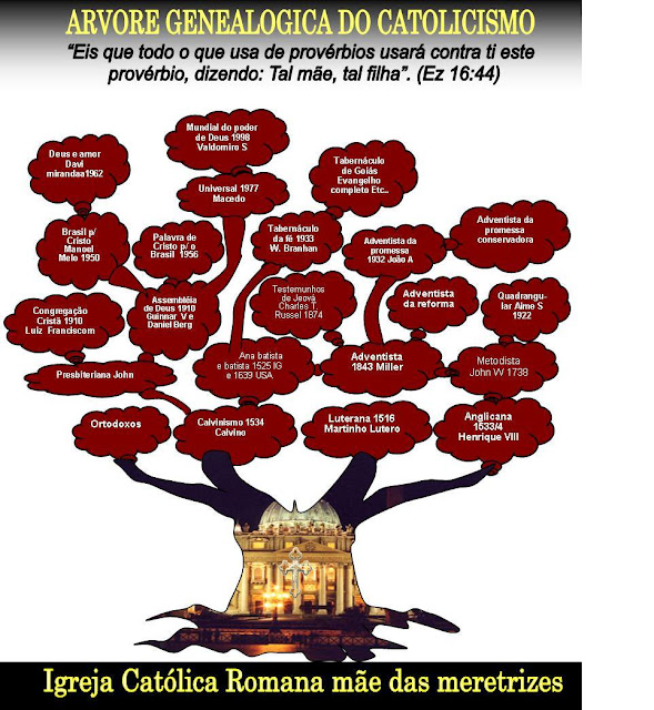 Ivonil servo de Yahshuah: O SINAL DA IMAGEM DA BESTA...nova