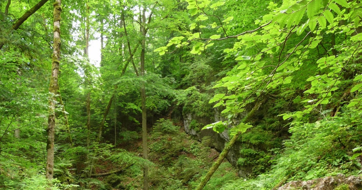 Nałogowa Podróżniczka: Słowacki Raj: Veľký Sokol Wielki Sokół Velky Sokol