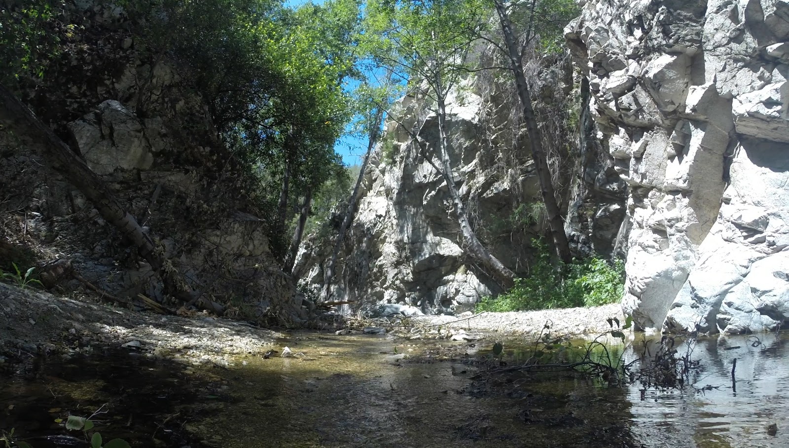 Adventure Los Angeles: Royal Gorge, Arroyo Seco - San Gabriel Mountains