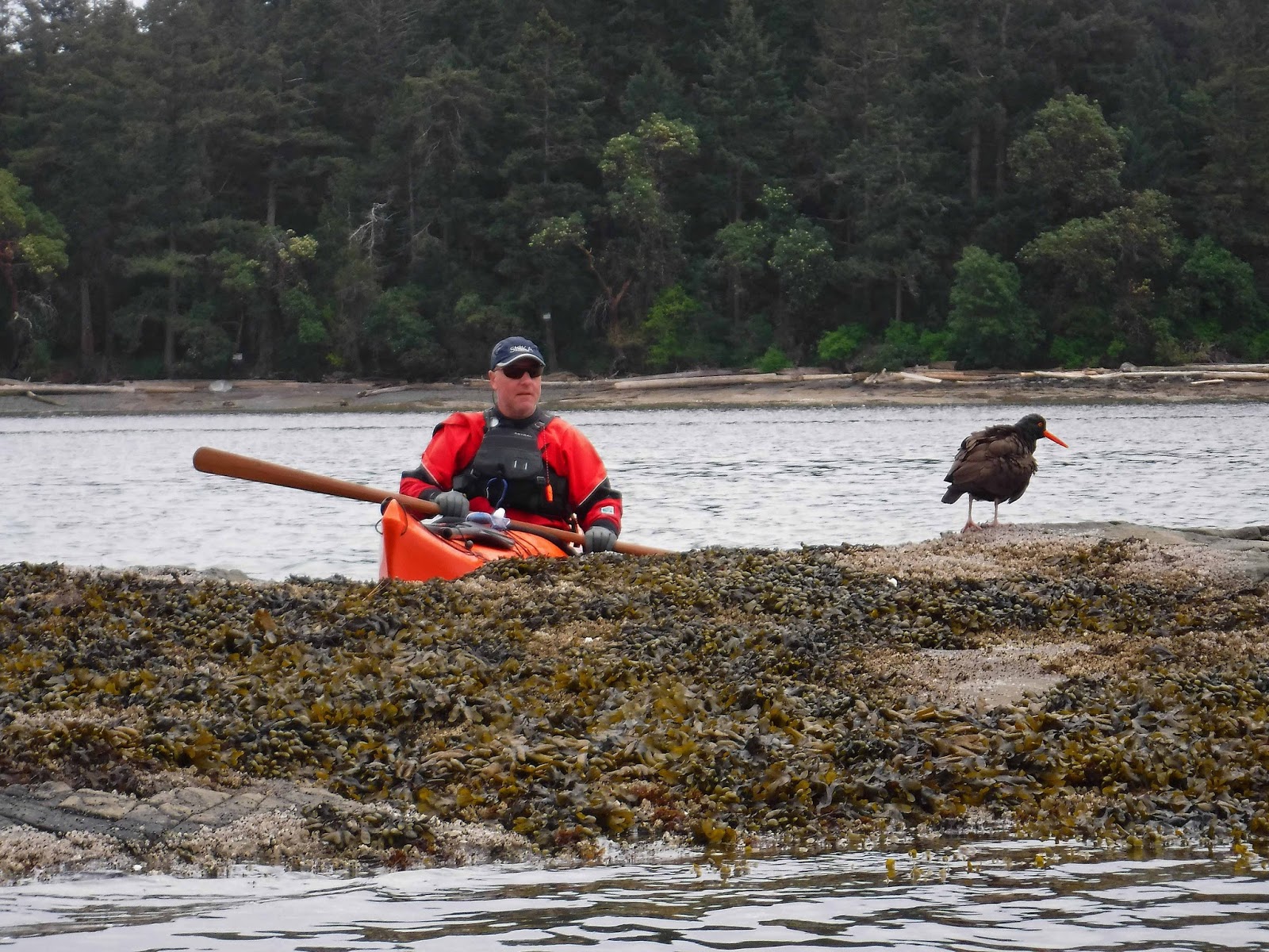 Gecko Paddler: Thetis Island Retreat April 14-17