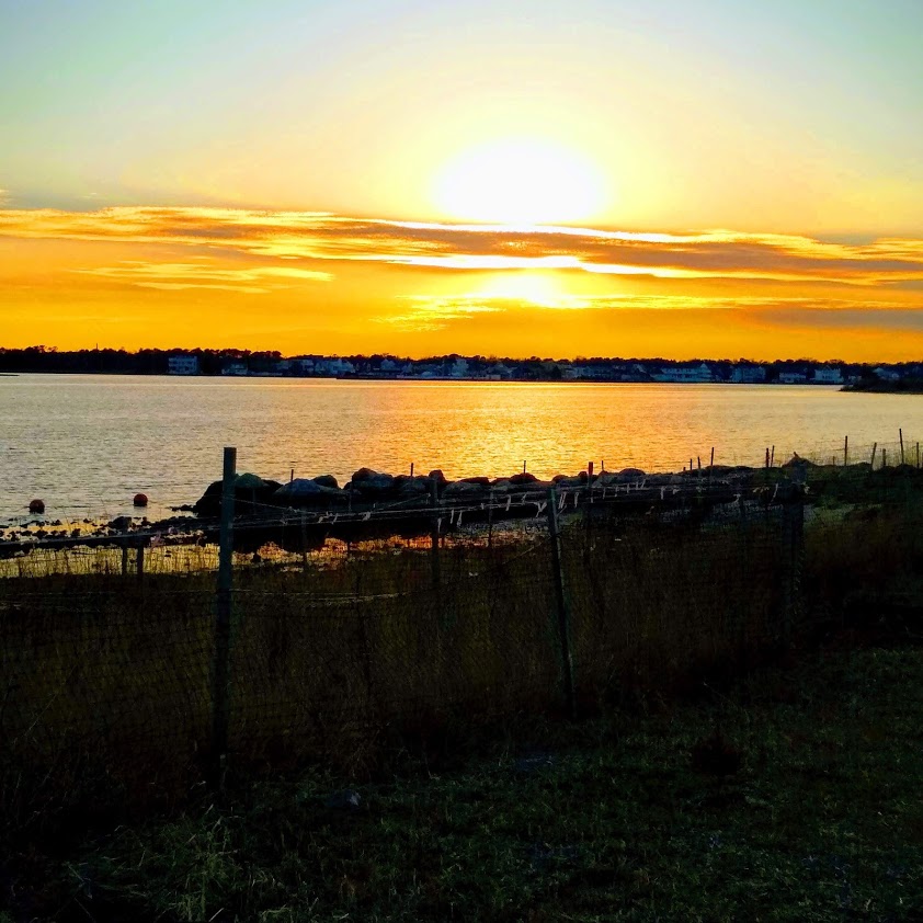 Cottage by the Sea : Images of Spring