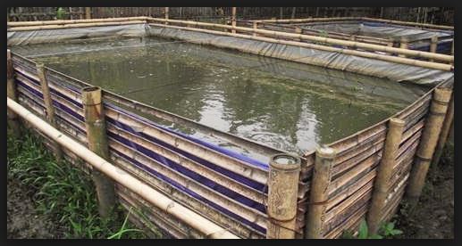 BUDIDAYA BELUT DENGAN AIR BERSIH || LEBIH PRAKTIS DAN GAMPANG MAU DI ...