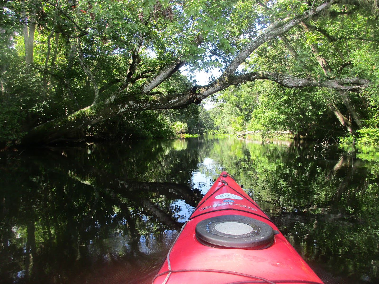 Dave's Yak Tales: Wekiva and Little Wekiva, plus, Haulover Canal