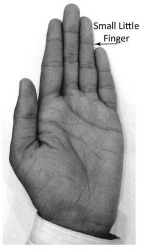 Little Finger On Hand Palmistry ~ INDIAN PALMISTRY | PALM READING ...