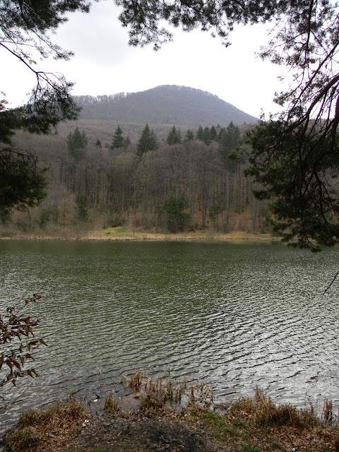 Blog de Calatorii si Drumetii Montane.: Lacul de la Codlea ,jud.Brasov ...